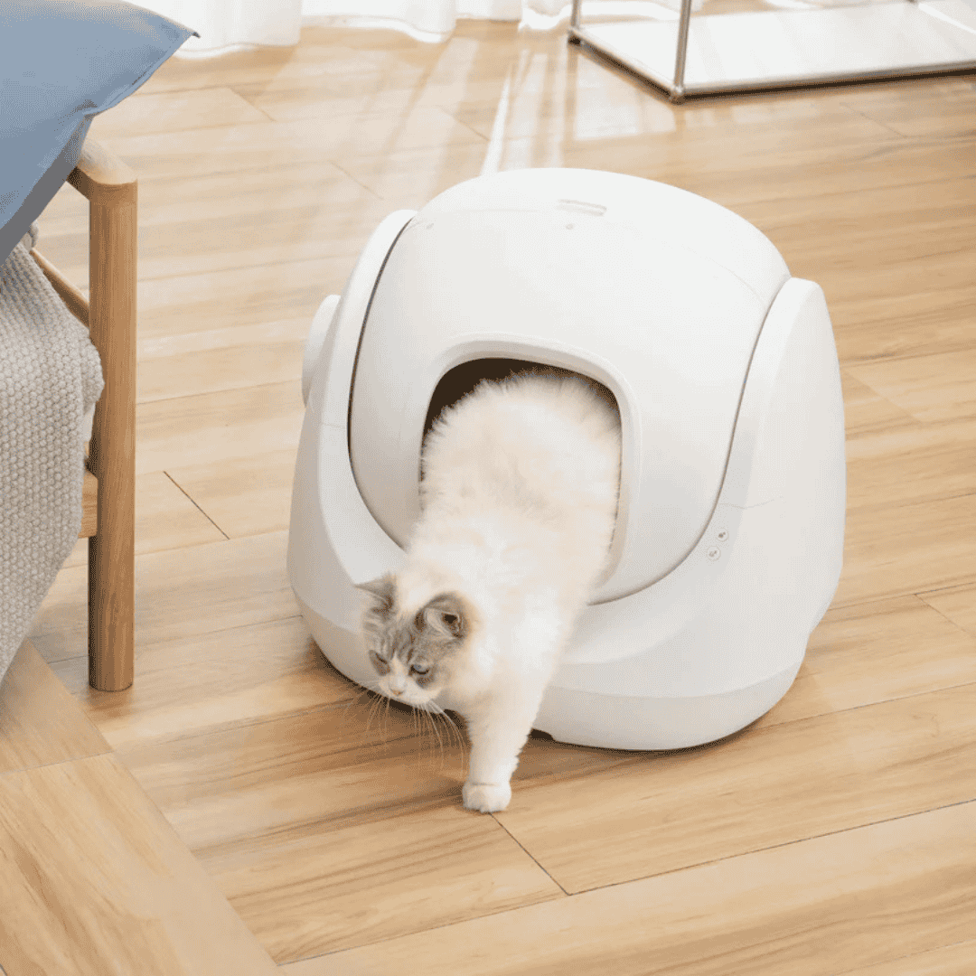 CATLINK Scooper SE – Hộp Vệ Sinh Mèo Thông Minh 2023, Giám Sát Sức Khỏe & Khử Mùi Hiệu Quả